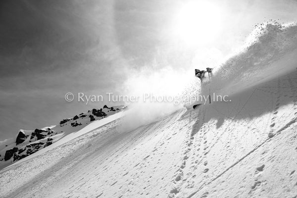 Pow Dog – Ryan Turner Photography