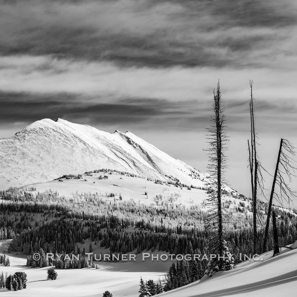 Sage Peak – Ryan Turner Photography
