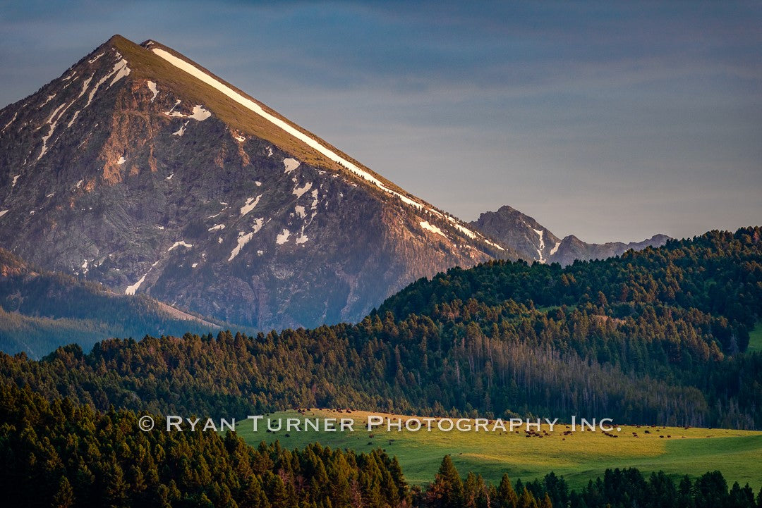The Blaze – Ryan Turner Photography
